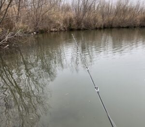 【19スコーピオン1581F-2 インプレ】圧倒的なトルクと高い操作性のジャークベイト,トップ専用ロッド | PEIのタックル研究所